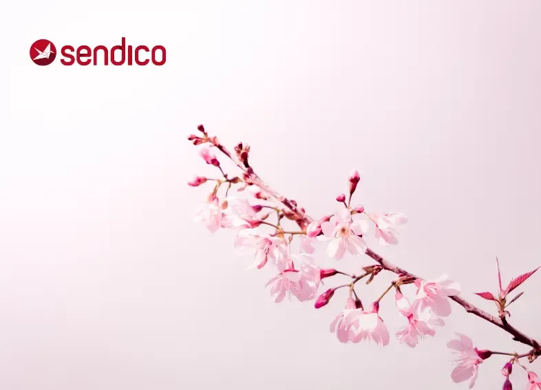 Best Sakura Themed Products to Buy in Japan This March