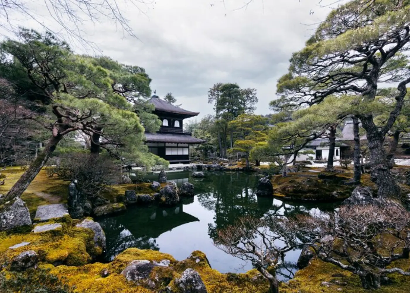 Japan-Einkaufsproxy-Dienst - Einkaufen in Japan - Sendico