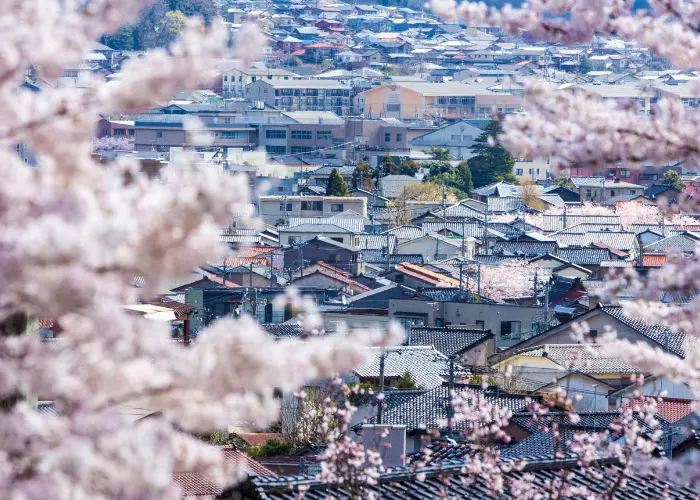 Japan Shopping Proxy Service - Kopen uit Japan - Sendico